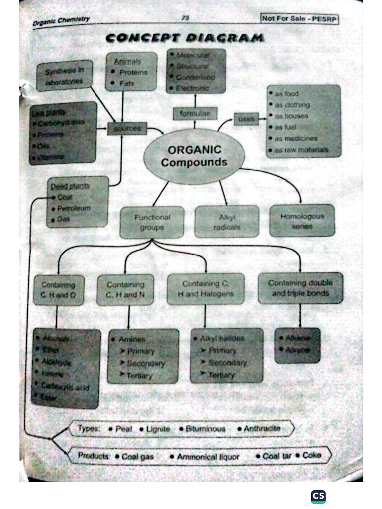 Summary Unit 3 | PDF