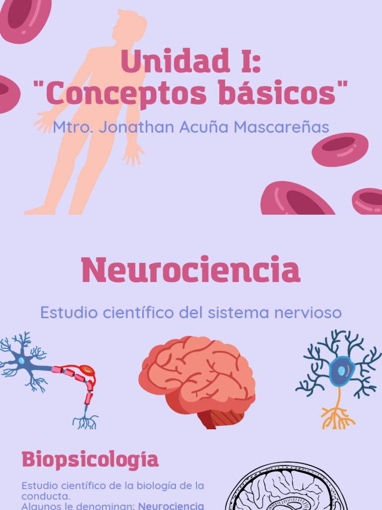 Unidad I Conceptos Básicos | PDF