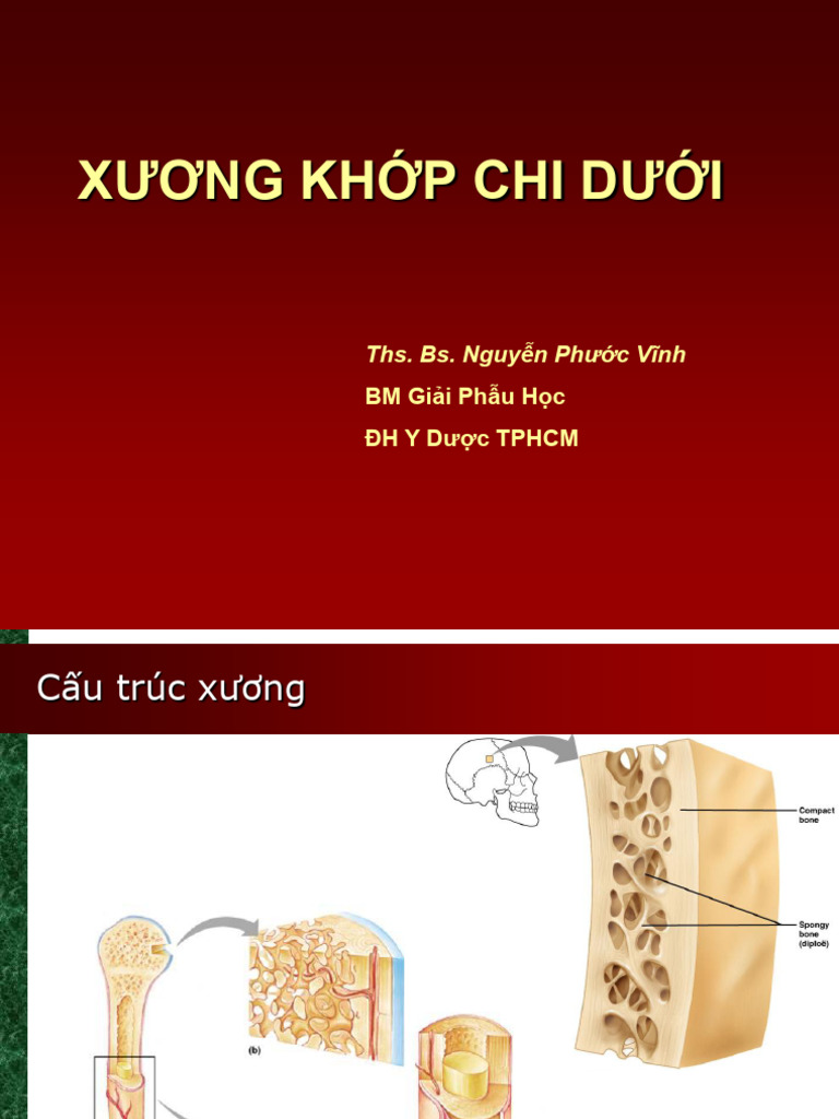 X. Khop Chi Duoi | PDF
