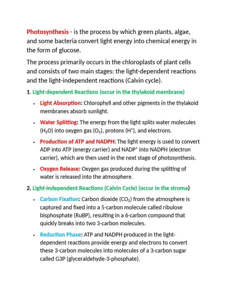 Photosynthesis Grade 11 1 | PDF | Photosynthesis | Cellular Respiration