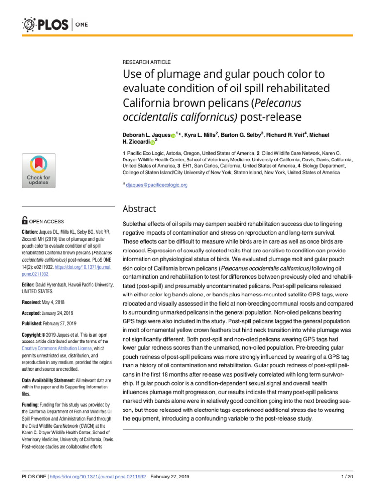Use of plumage and gular pouch color to evaluate condition of oil spill ...
