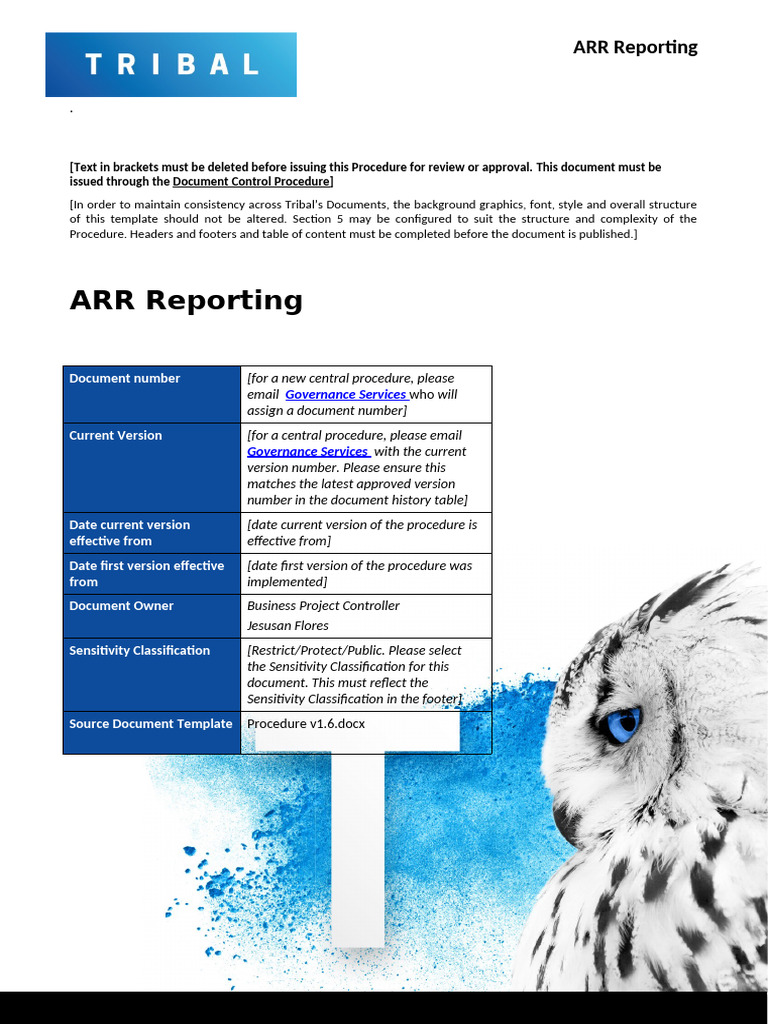 ARR Reporting | PDF | Financial Analyst
