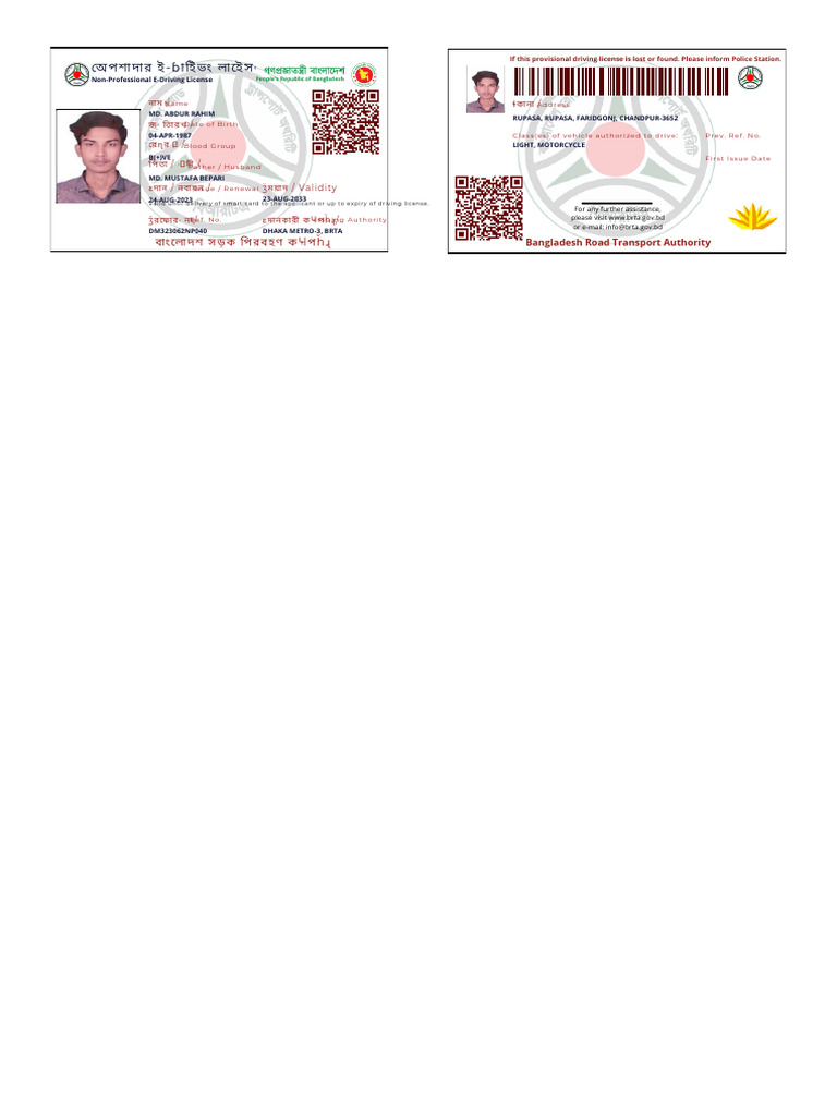 e Paper Driving License PDF | PDF