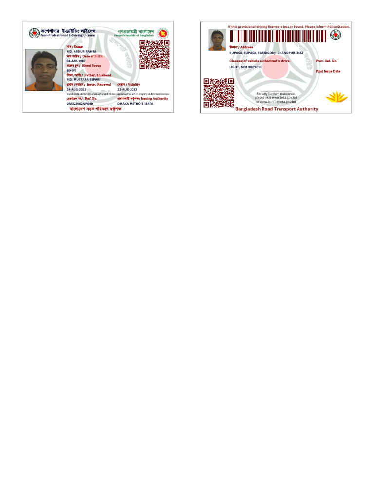 e Paper Driving License | PDF