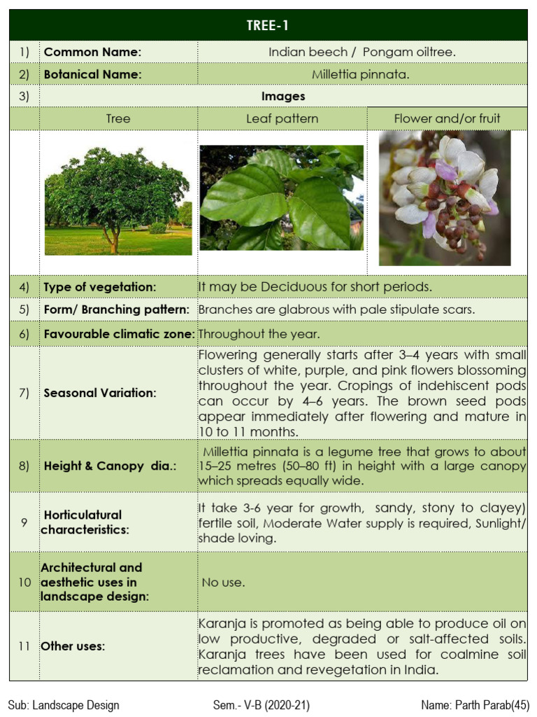 ASSIGN. 5, ALD 5, 45-B, Parth Parab, Sem 5 | PDF | Trees | Plants
