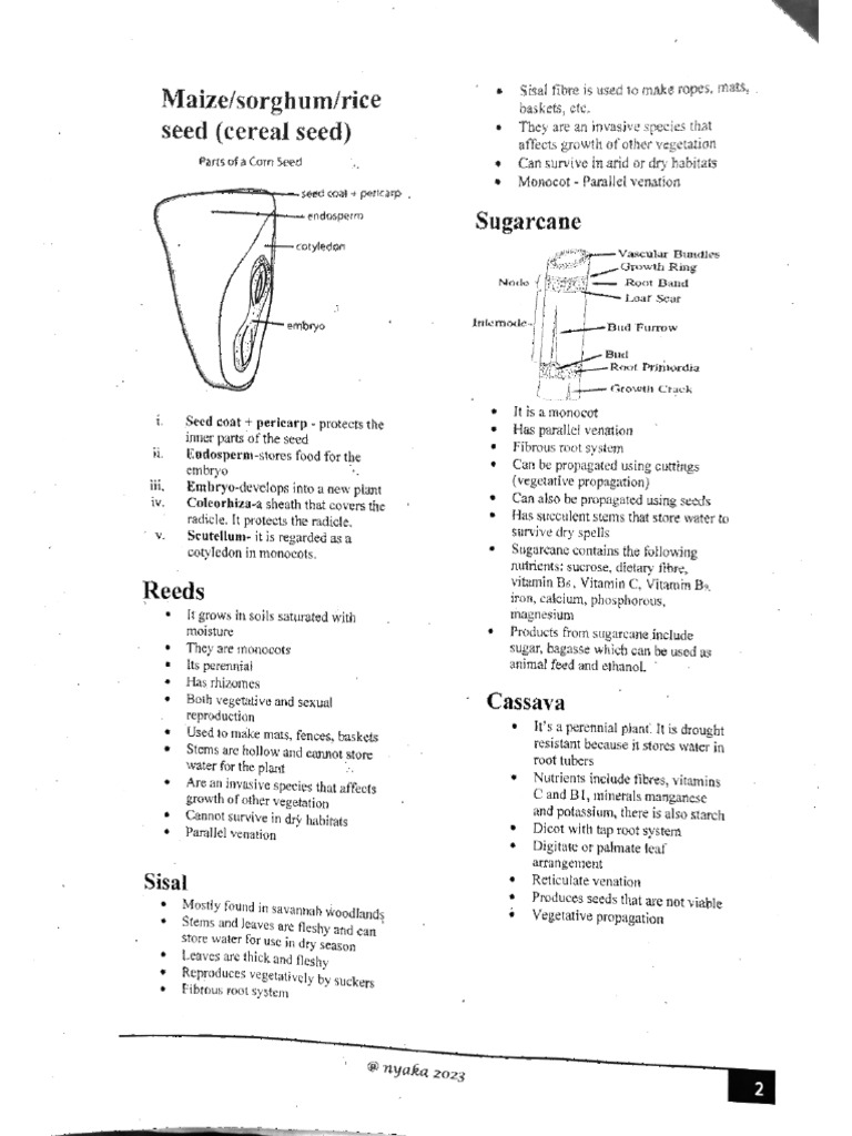 Biology Practical Notes | PDF