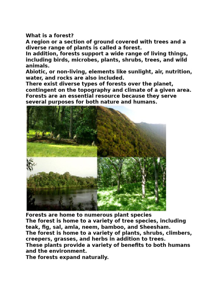 Forest Our Lifeline | PDF | Forests | Soil