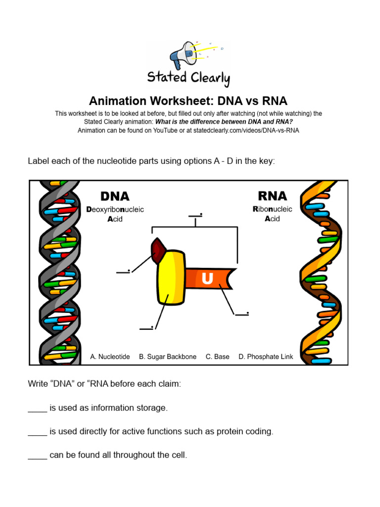 DNA vs RNA Worksheet | PDF