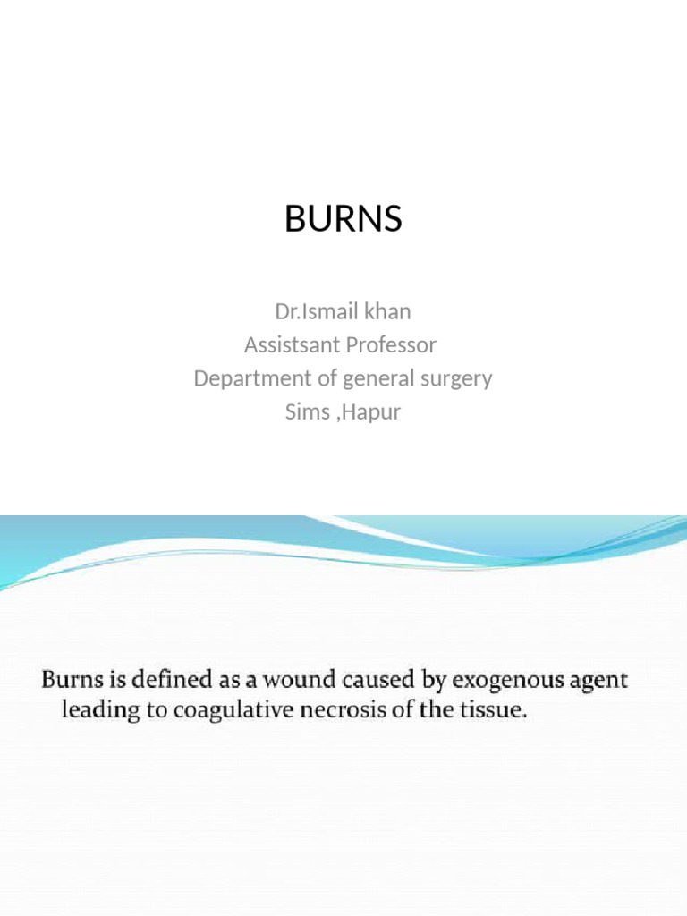 BURNS | PDF