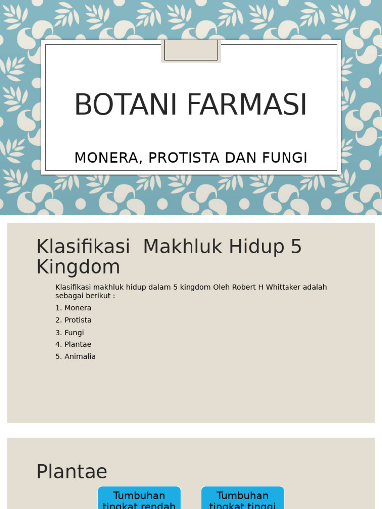 Monera Protista Fungi | PDF