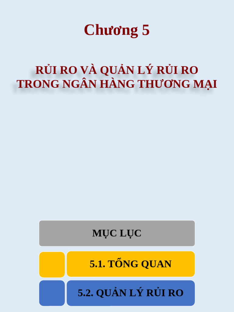 Chương 5 - Tổng Quan Về RR Và QLRR | PDF