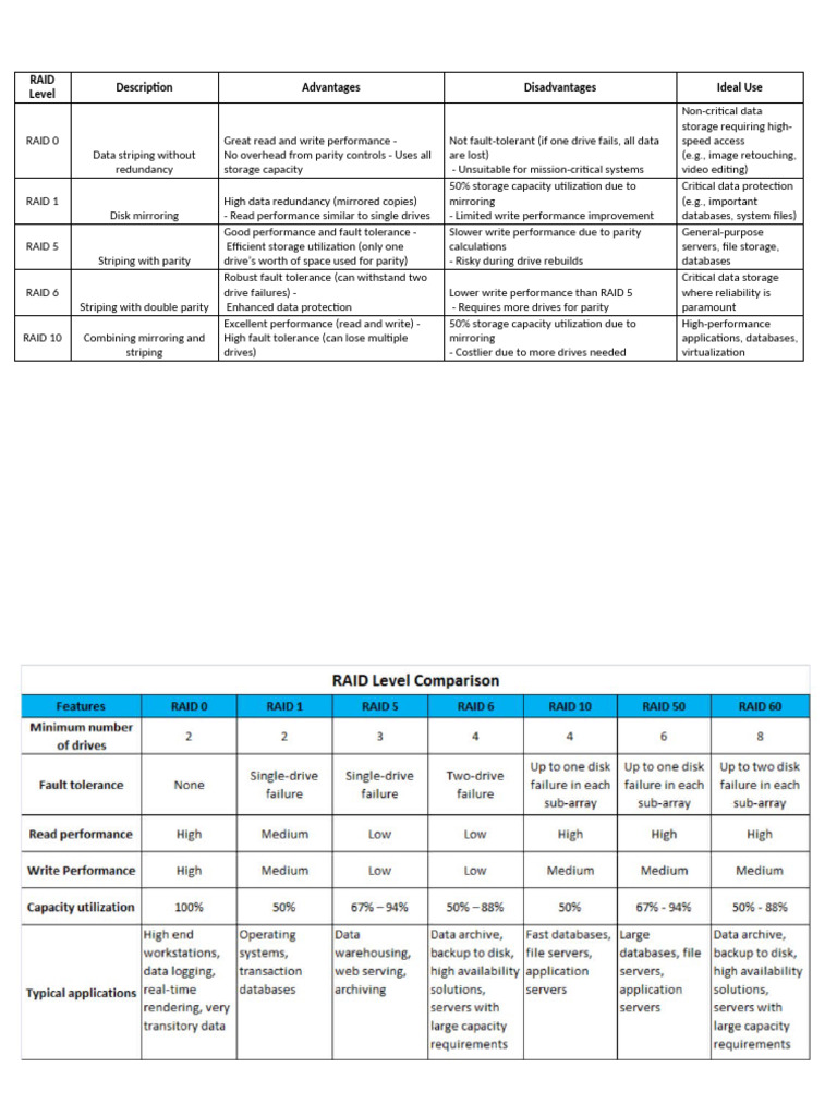RAID Level | PDF | Computer Data Storage | Information Retrieval