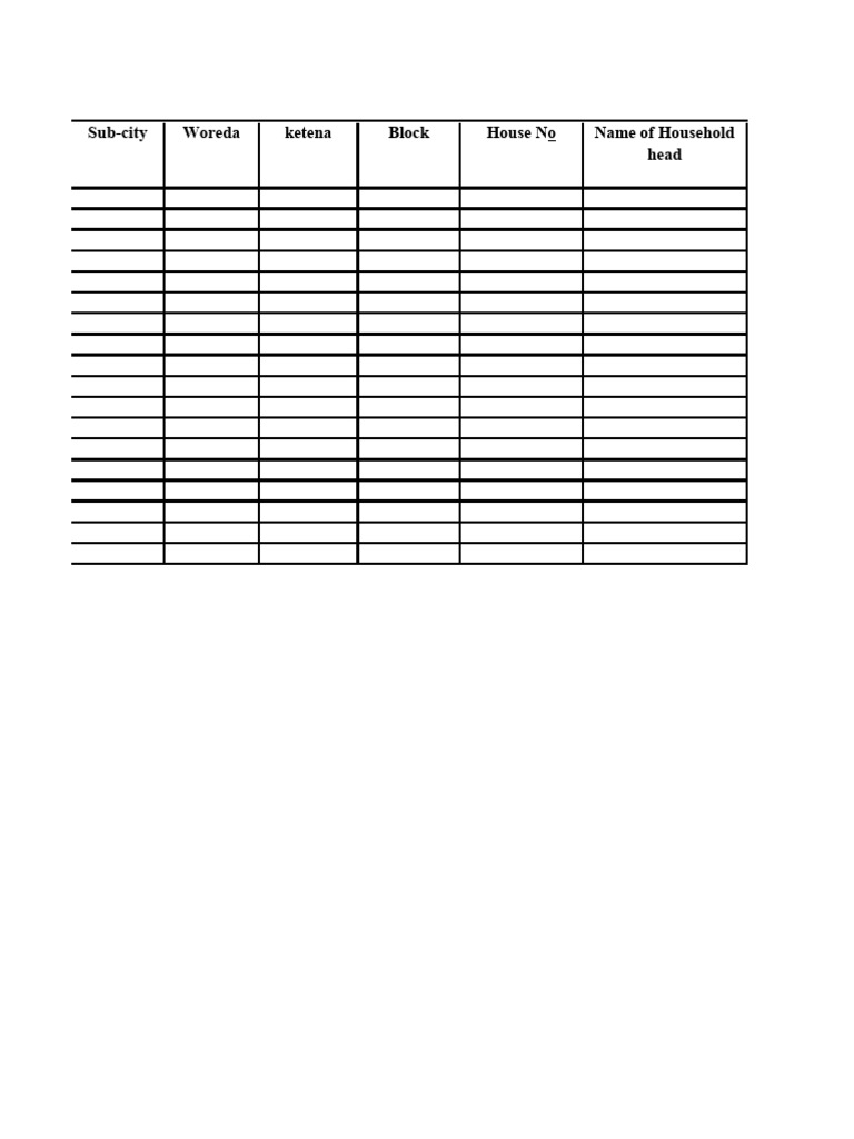 Vulnerable House Hold Format Excell | PDF
