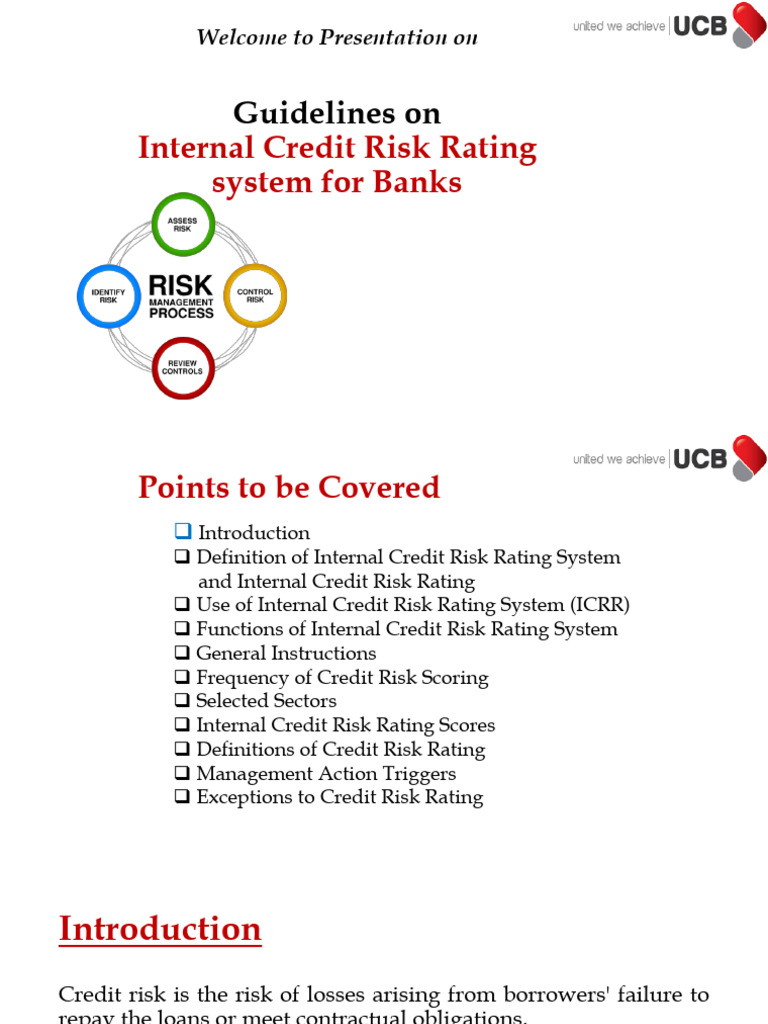ICRR Guidelines | PDF | Credit | Finance & Money Management