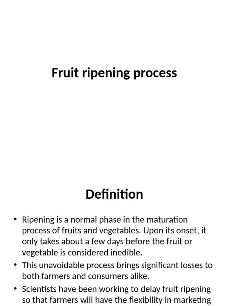 Fruit Ripening Process | PDF | Life Sciences | Biochemistry