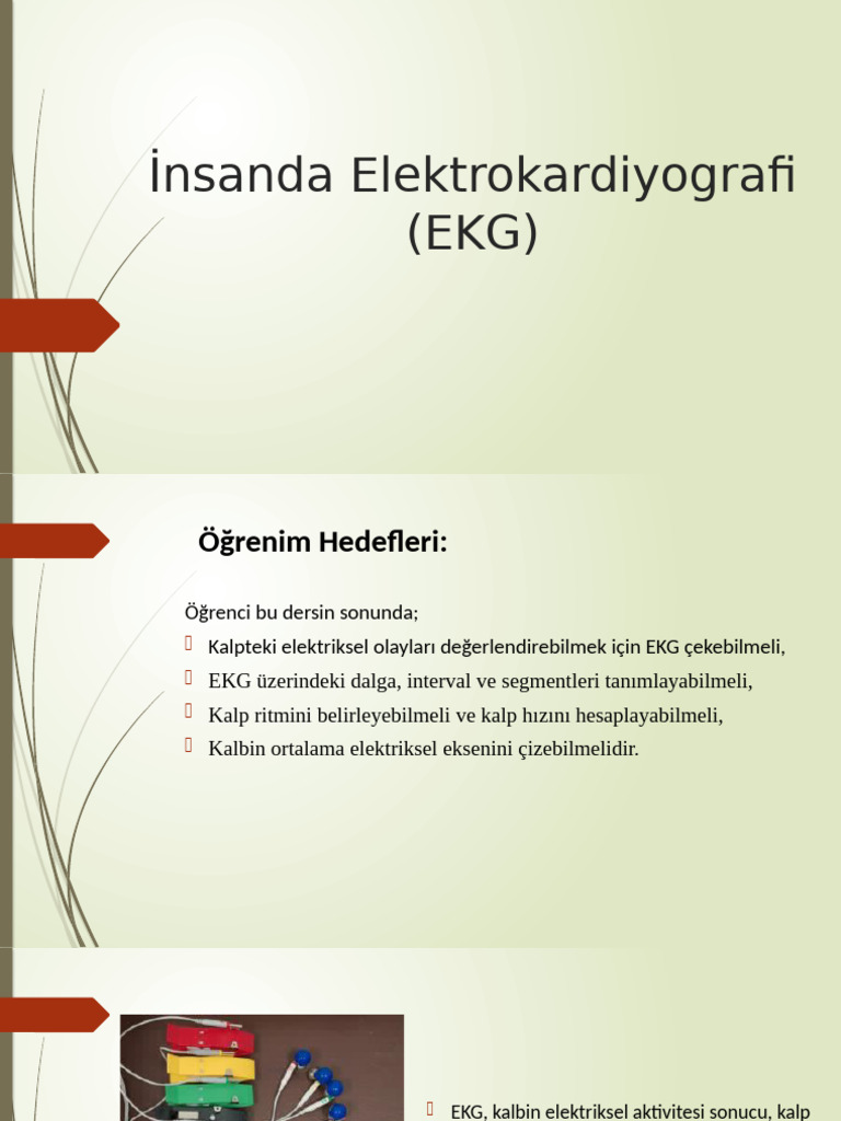 3 - EKG - 2024-2025 Yeni 3 | PDF