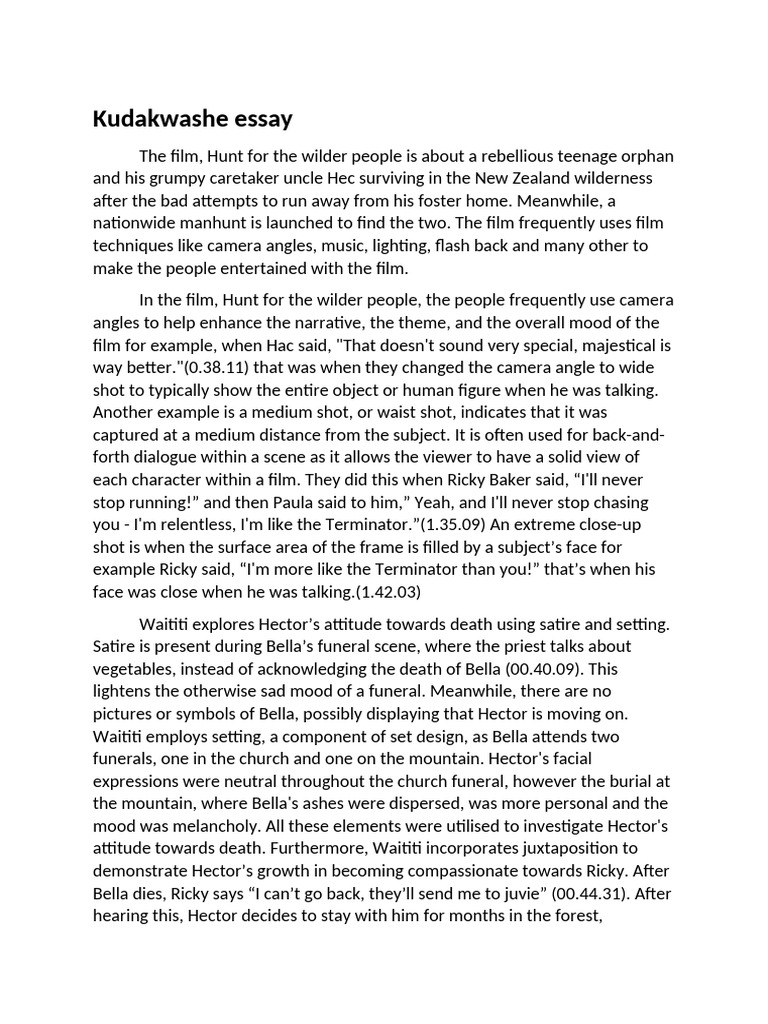 Film Techniques in Hunt for the Wilderpeople | PDF