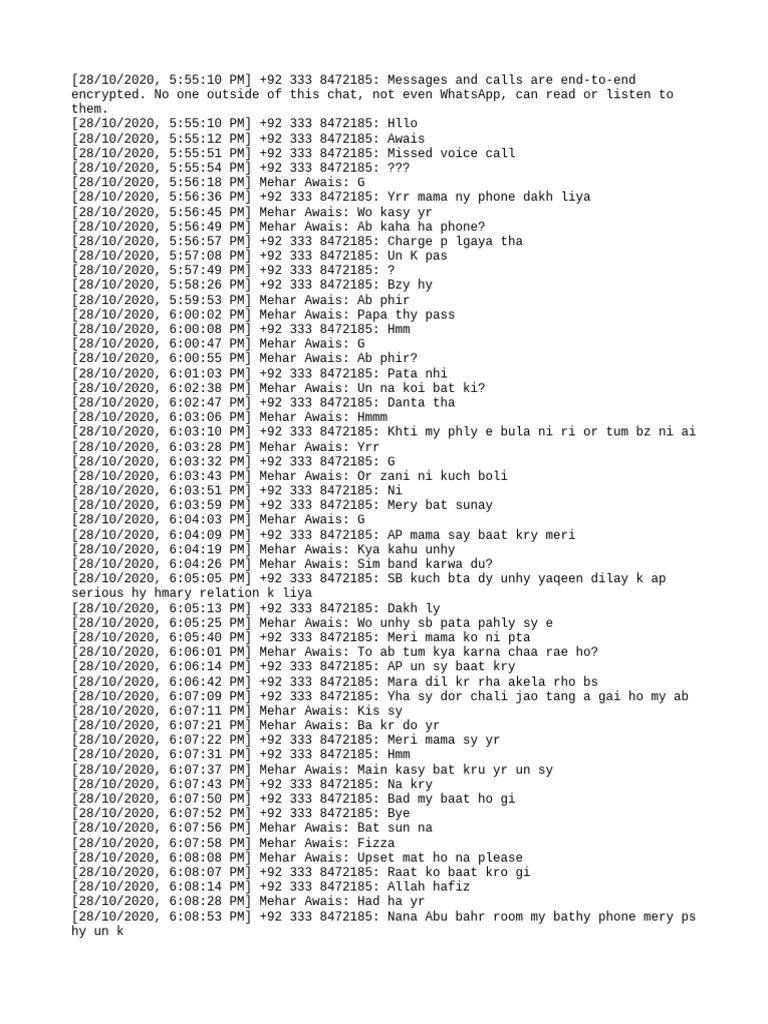 WhatsApp Chat Log: Voice Calls & Messages | PDF