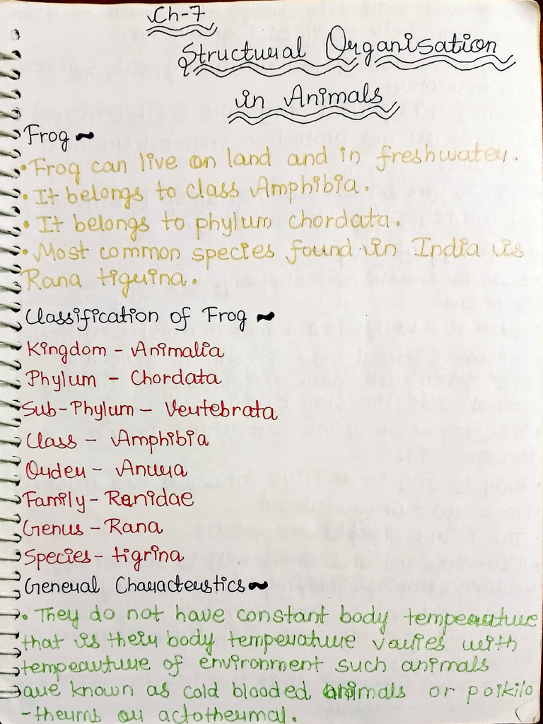 Ch-7 Structural Organisation of Animal | PDF | Anatomy | Animal Physiology
