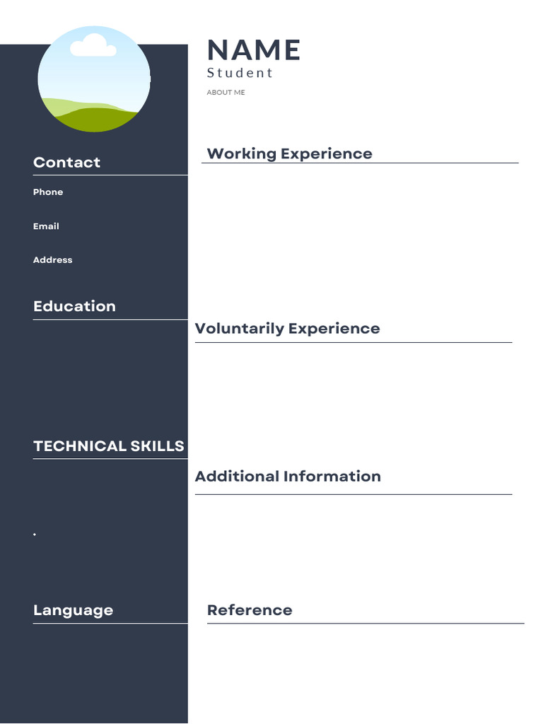 01-1 CV Template & Sample | PDF