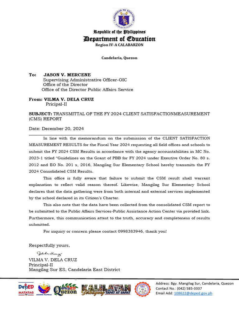 MSES Client Satisfaction Measuremen 2024 | PDF