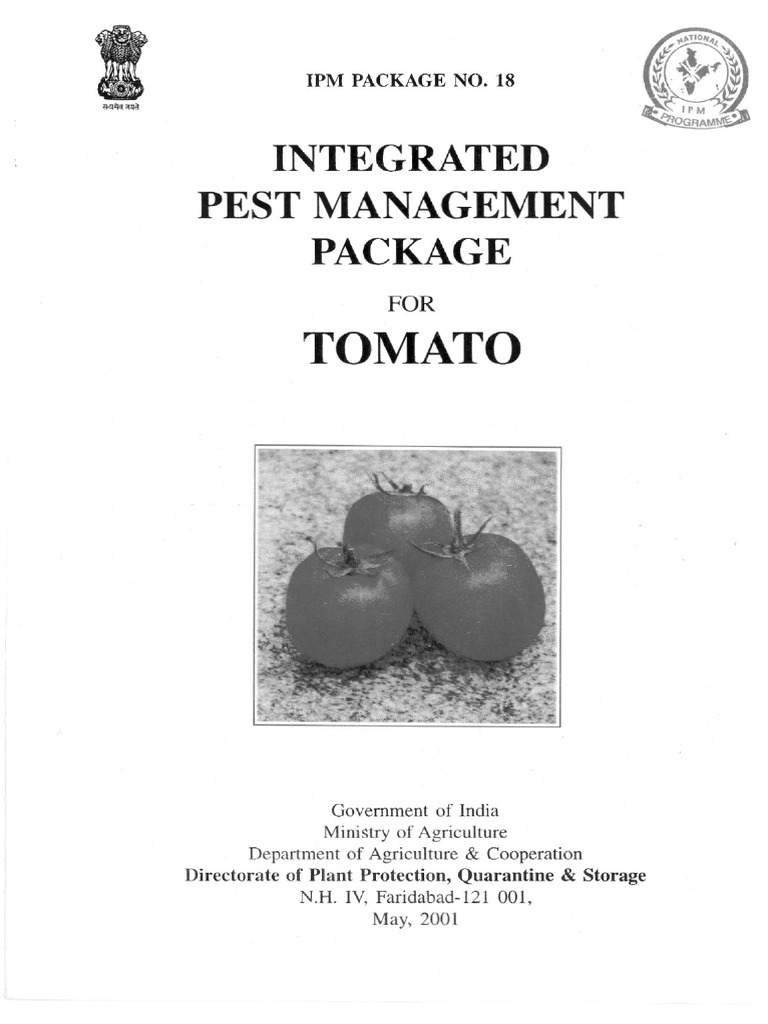 Tomato | PDF