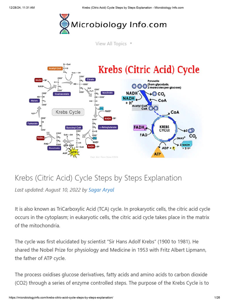 Krebs (Citric Acid) Cycle Steps by Steps Explanation - Microbiology ...