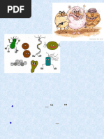Neogen Molecular Detection Assay 2 Protocol Reference Guide | PDF