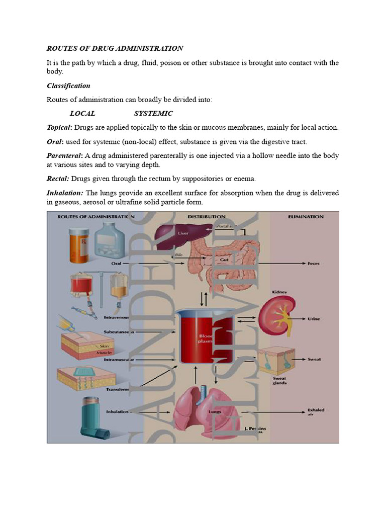 Drug Administration Routes Explained | PDF | Topical Medication | Pharmacy