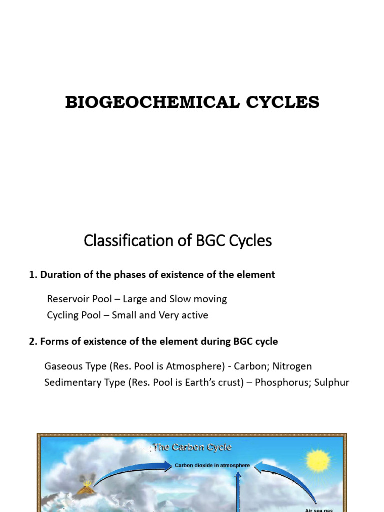 BGC Cycles | PDF