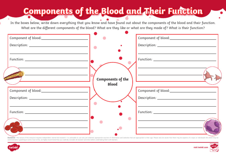T SC 1719232782 Components of The Blood and Their Function Mind Map ...