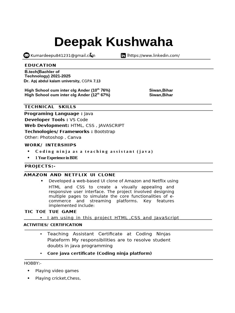Deepak Resume Professional | PDF