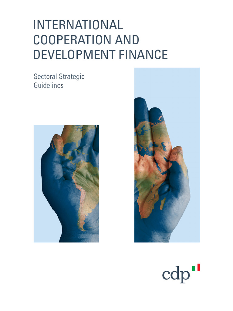 CDP International Cooperation Eng | PDF | Official Development ...