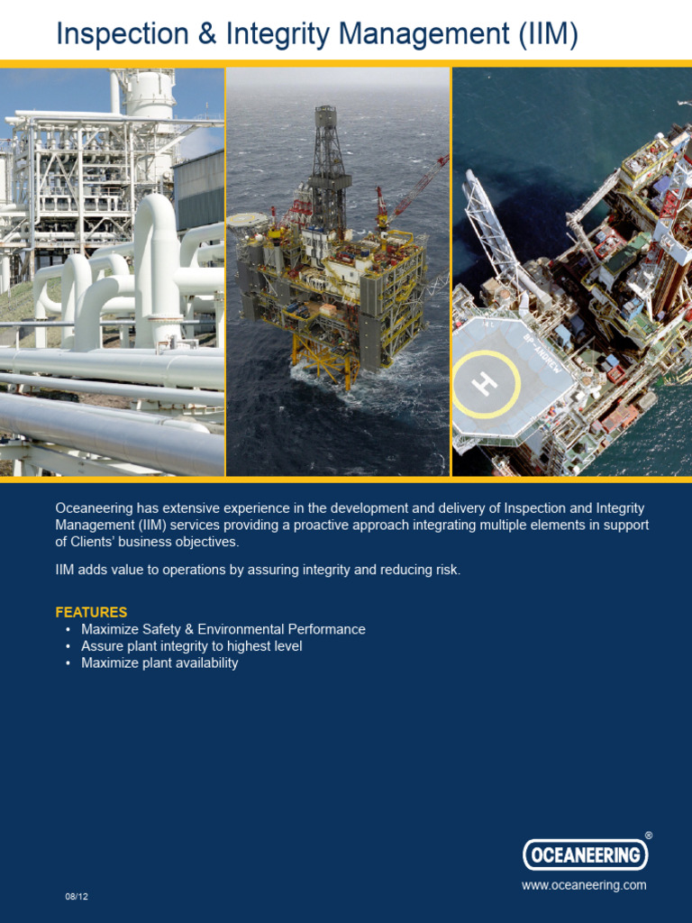 INS - Inspection & Integrity Management (IIM) | PDF | Risk | Risk ...