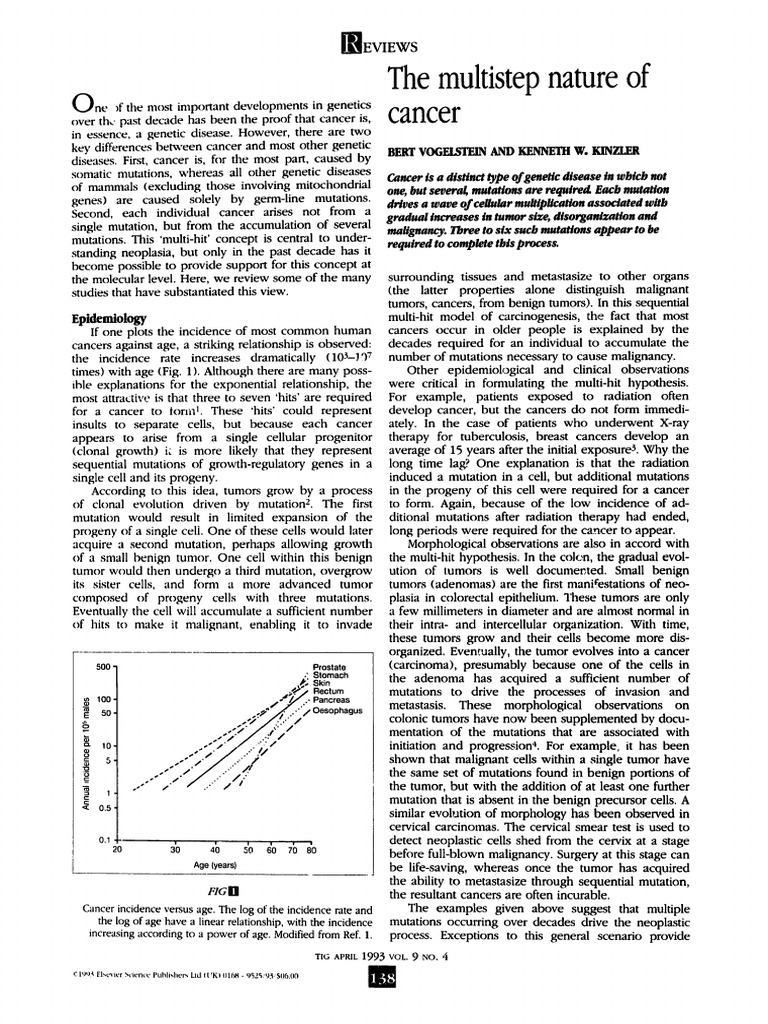 The Multistep Nature of Cancer | PDF | Neoplasms | Carcinogenesis