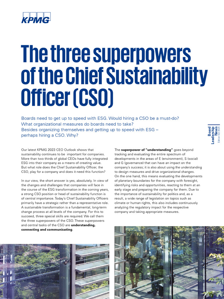 The Essential Role of Chief Sustainability Officers | PDF ...