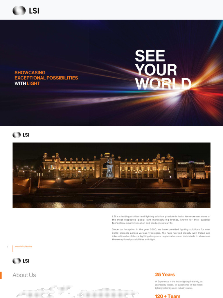 LSI India | PDF
