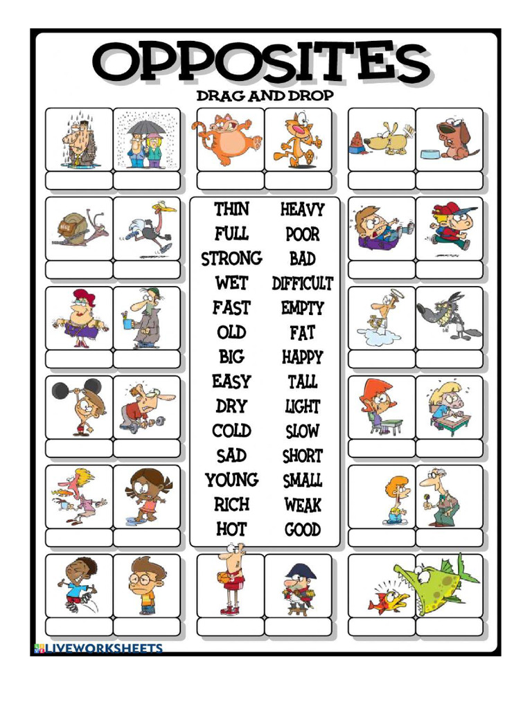 Adjectives Starter | PDF