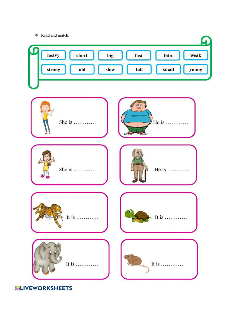 Adjectives Starter No4 | PDF