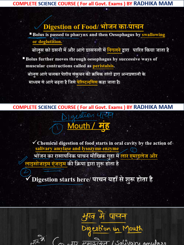 Digestion of Food/: Swallowing or Deglutition | PDF