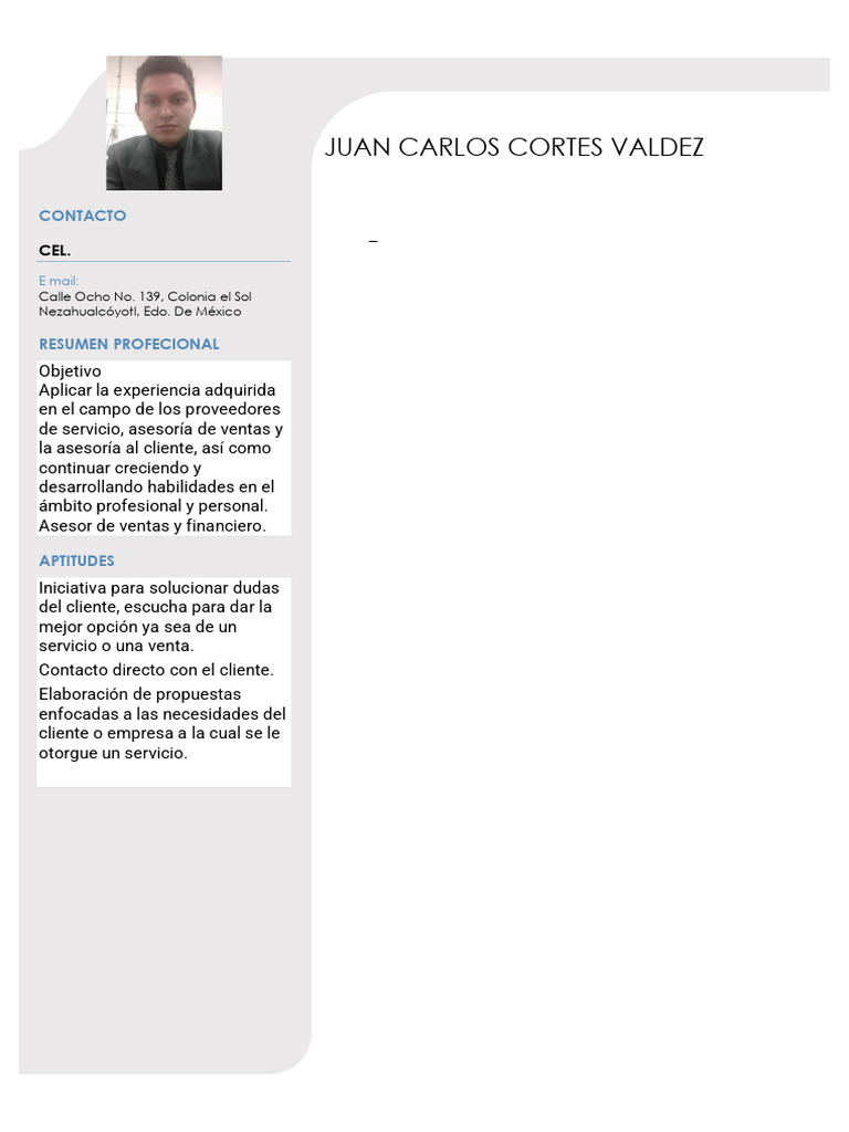CV Carlos 2023 | PDF | Marketing | Cliente