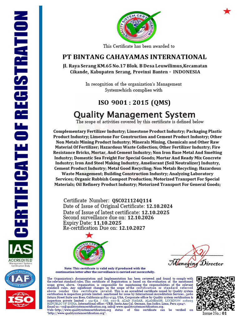 ISO 9001 bci | PDF | Materials | Secondary Sector Of The Economy