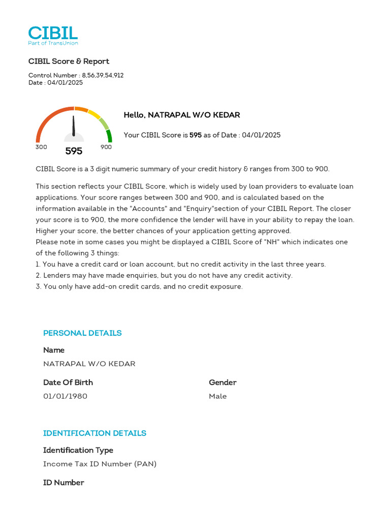 CIBIL ALL REPORT NETRAPAL LOAN | PDF | Loans | Credit
