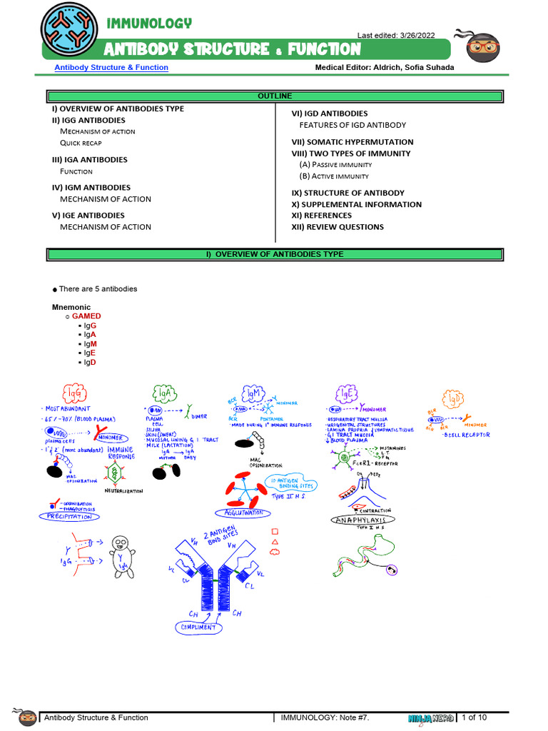 Antibody Structure & Function (2) atf | PDF | Antibody | Immune System