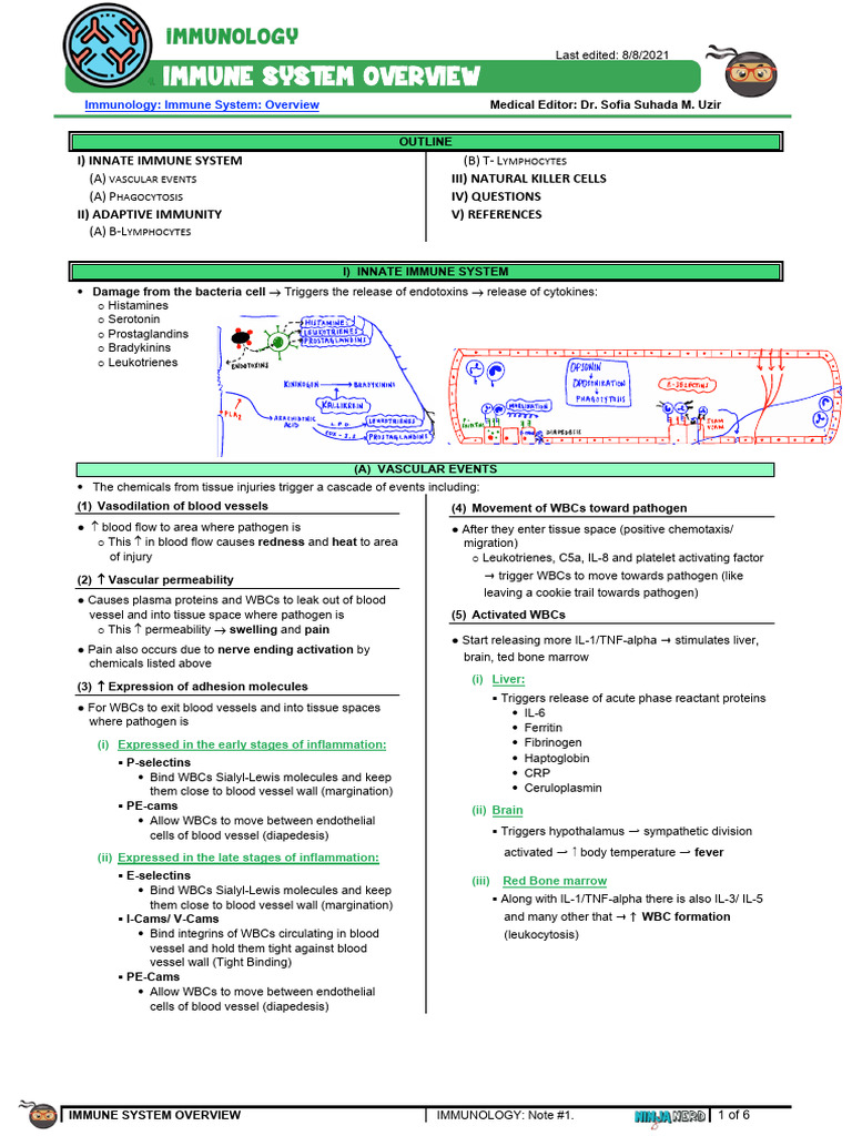 Immune System- Overview (1) atf | PDF | T Helper Cell | T Cell