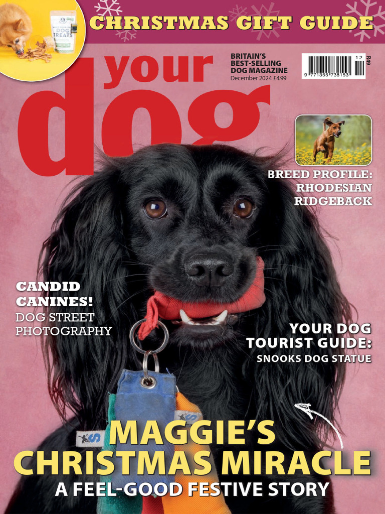 Your Dog Magazine: December 2024 Issue | PDF