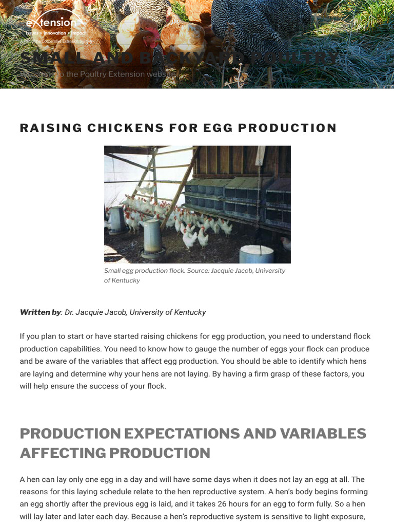Small and Backyard Poultry: Raising Chickens For Egg Production | PDF ...