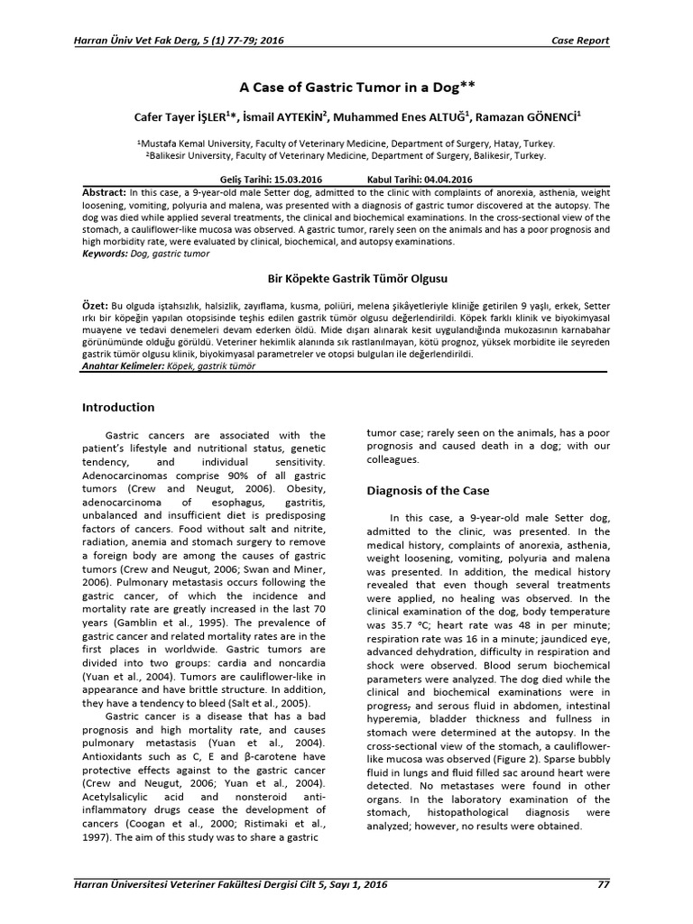 A Case of Gastric Tumor in A Dog | PDF | Metastasis | Stomach