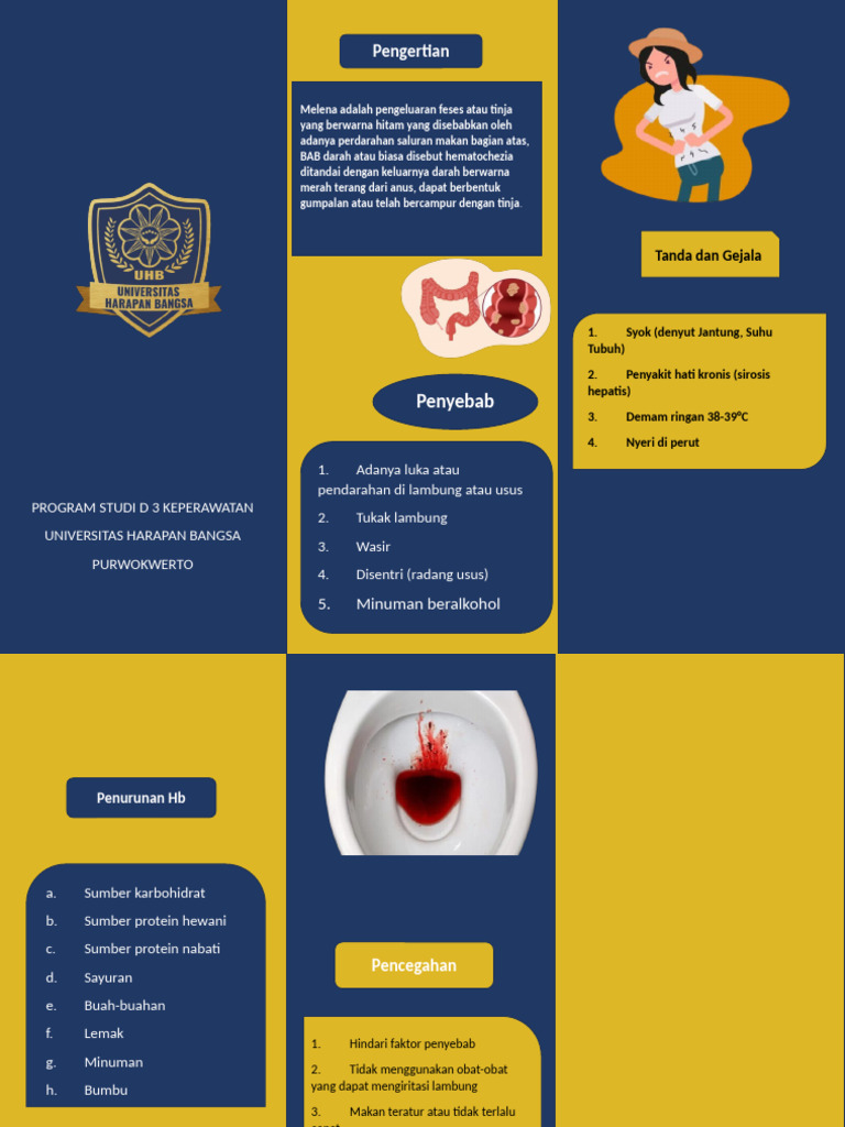 Leafleat Melena | PDF