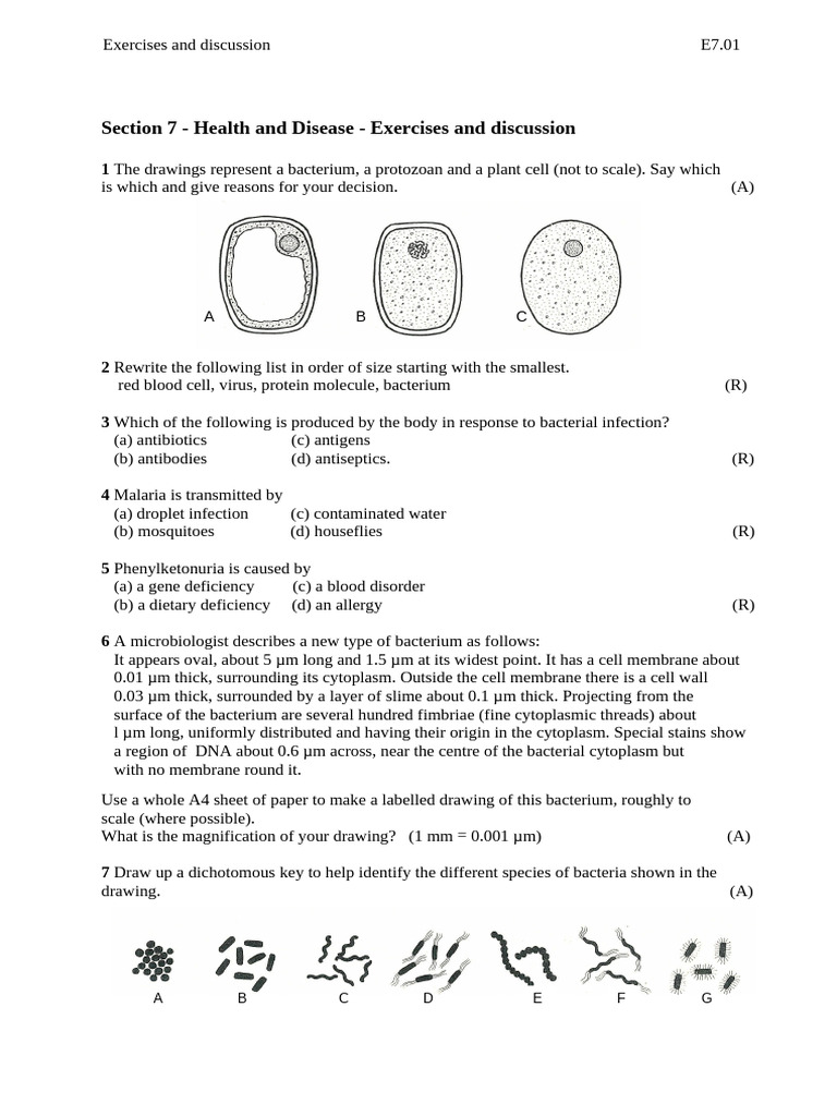 exercises-07-micro-organisms | PDF | Bacteria | Cell (Biology)